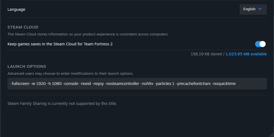 Launch Options in CS2: Basic Optimization and Settings